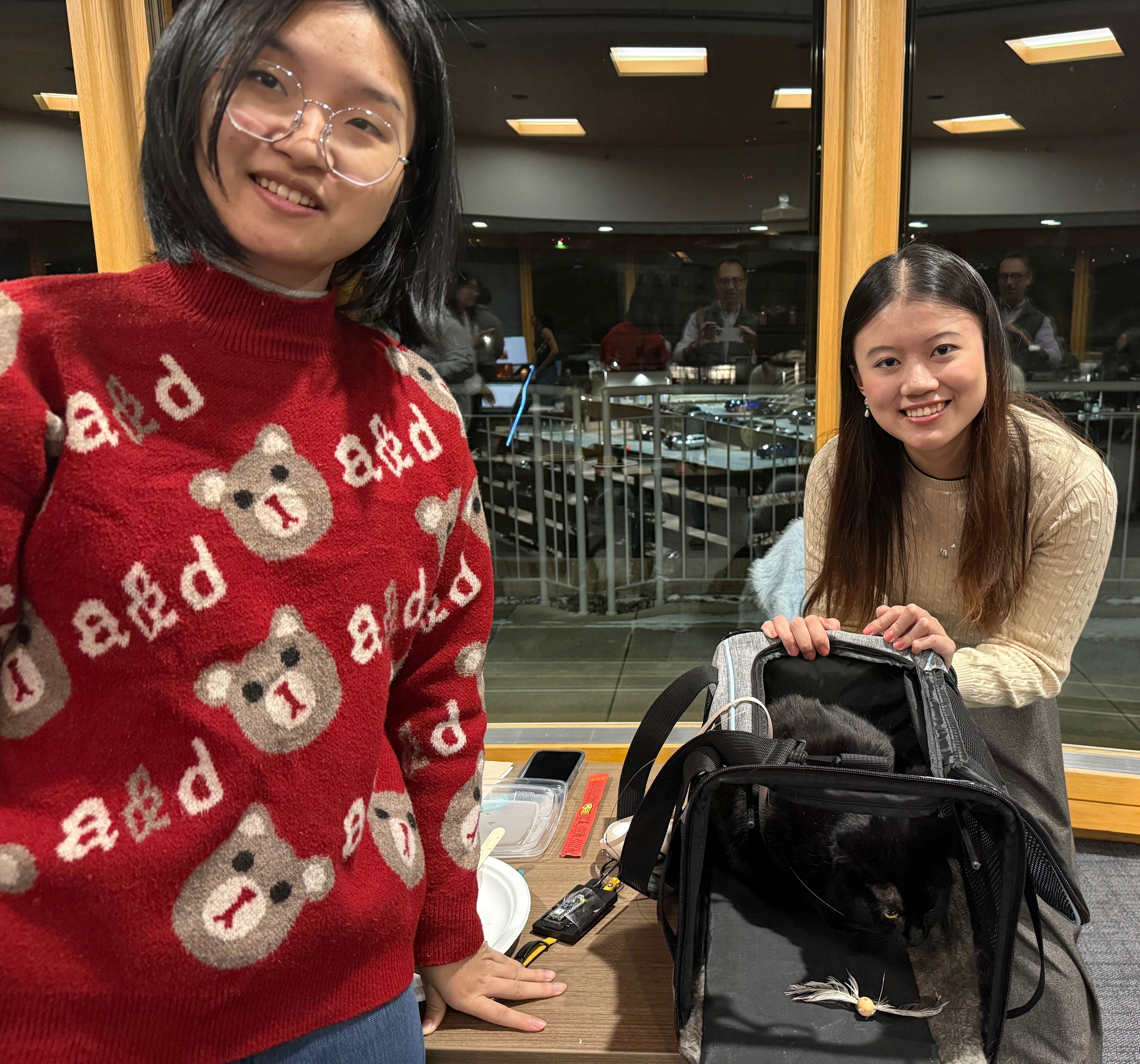 CatMotion | Ziad Youssfi